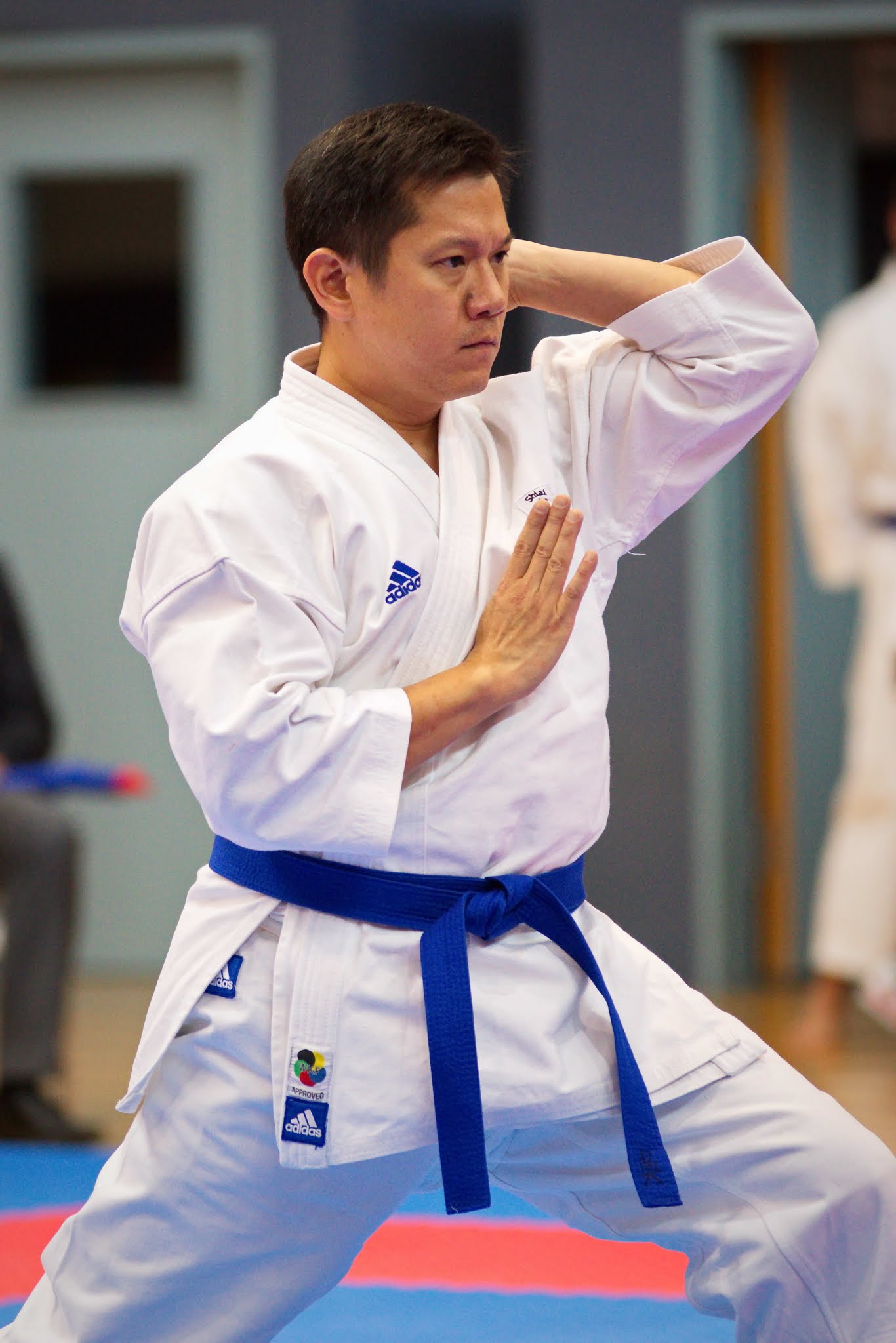 Karate-Do - Shiai Karate-Do